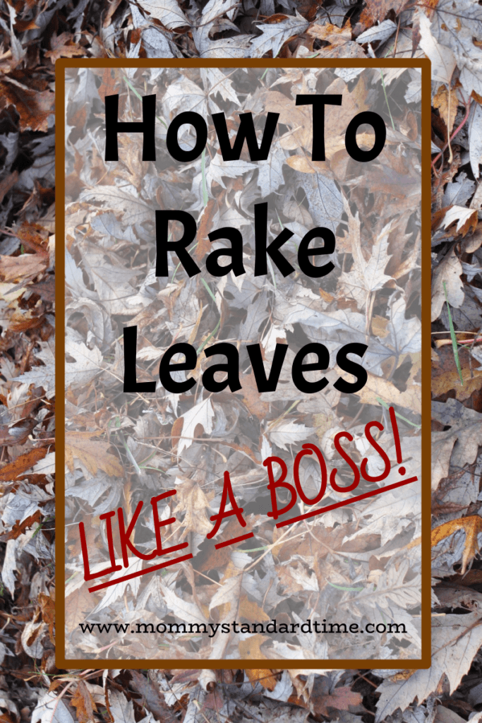 How to Rake Leaves Like a Boss! - Mommy Standard Time
