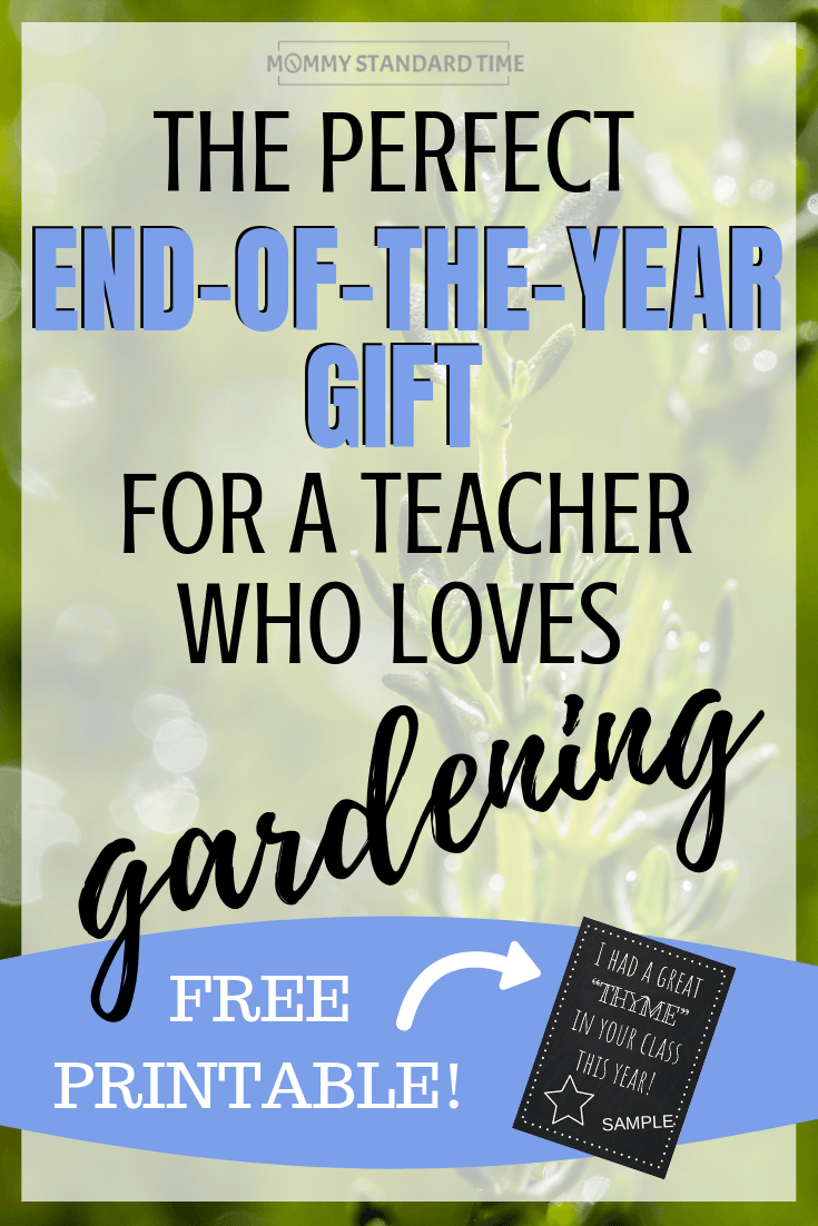 Year-End Teacher Appreciation Gift - Mommy Standard Time